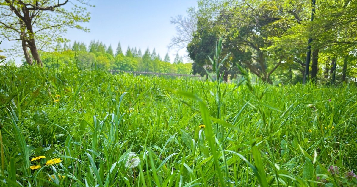 春の風｜詩｜rira