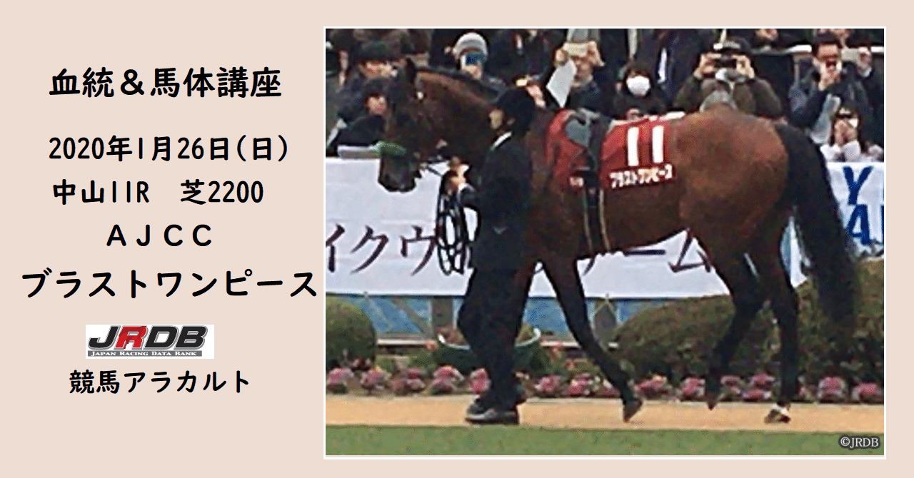 【血統＆馬体講座】ブラストワンピース(AJCC)｜JRDB 競馬アラカルト