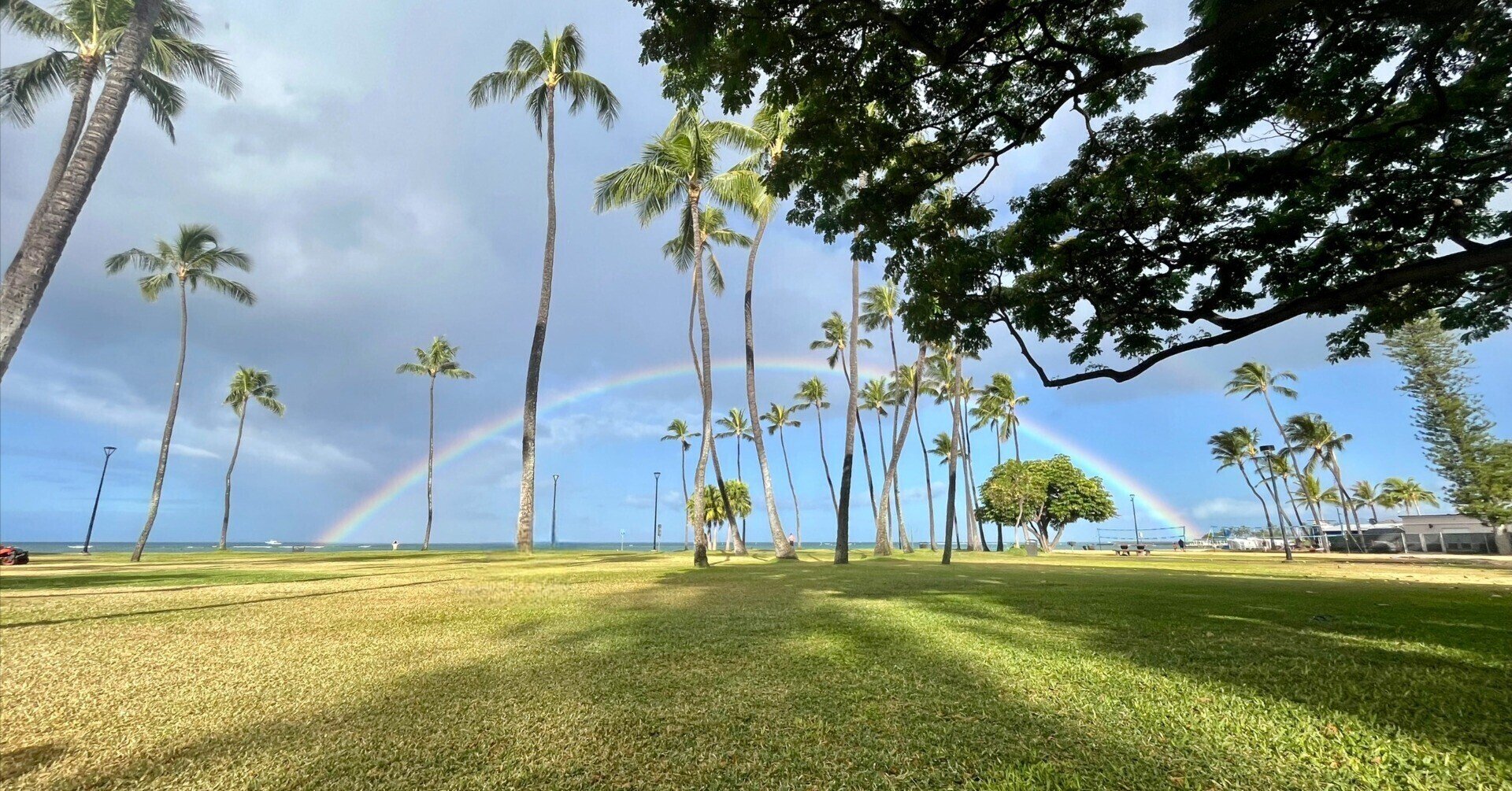 Shiho Puanani Saito｜note