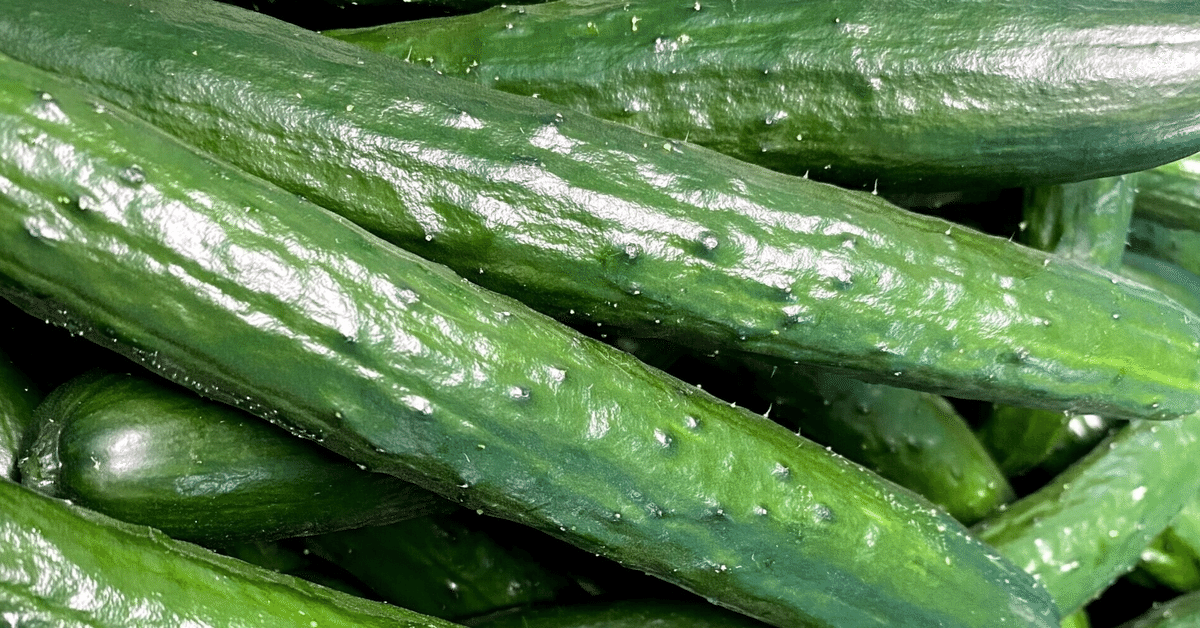 【Japanese Side Dish Guide06】Cucumber and Wakame Sunomono Recipe｜イヌイユキ