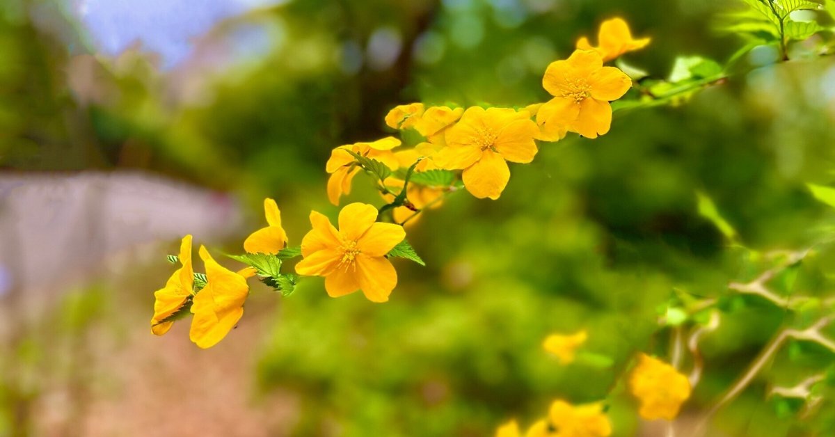 【詩】いびつ ｜ayano_leizei 冷泉あやの