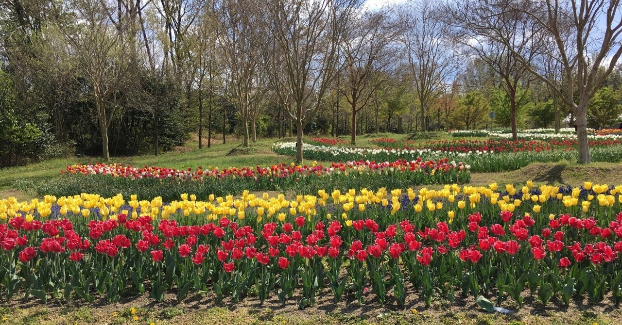 3行日記（2025.4.20）｜雪月 | Yuzuki