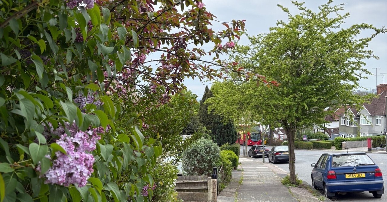 海外生活始めます｜kanon