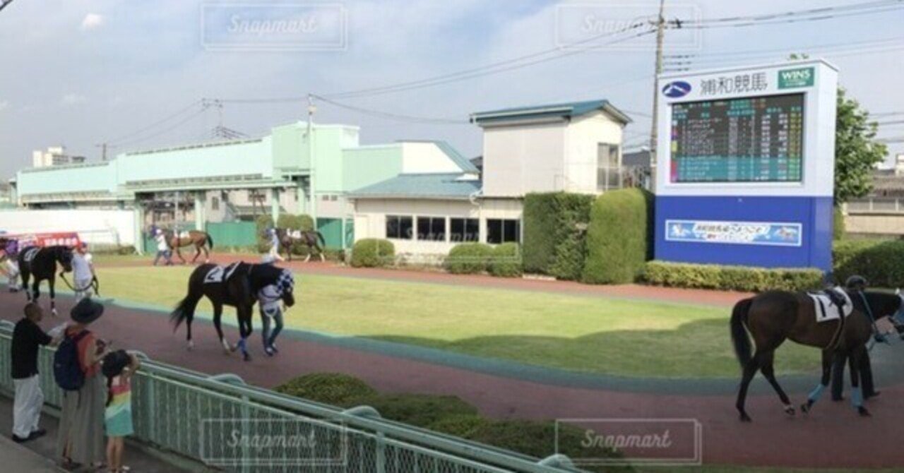 浦和競馬【🔥👊🏇激熱勝負🏇👊】【9R】春日傘（はるひがさ）特別 （発走時刻16:35）｜さやだま
