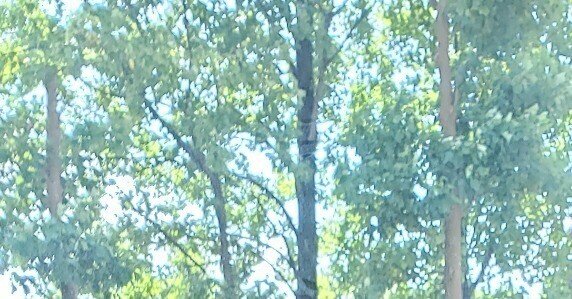 こやまゆう（AZU&）｜note