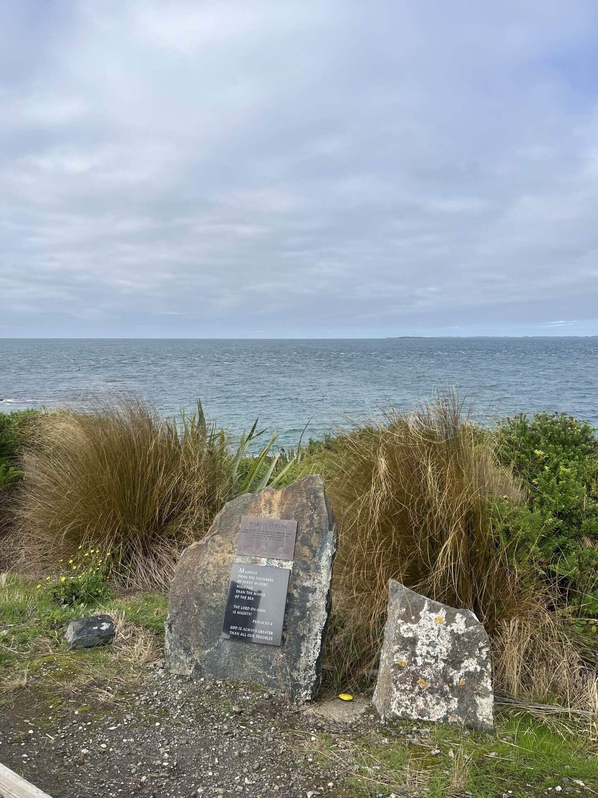 世界一周 day376【ブラフオイスターを食べる】@ニュージーランド🇳🇿｜ちー🌏世界一周中