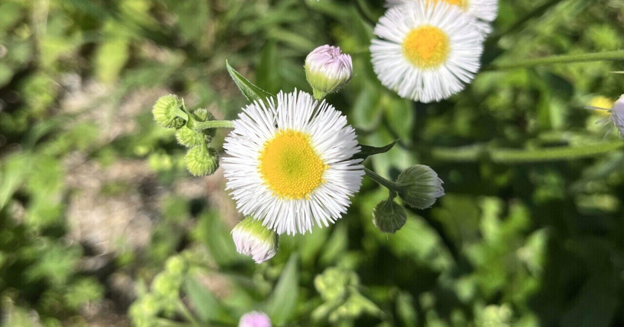 待っている｜Jake Manalo