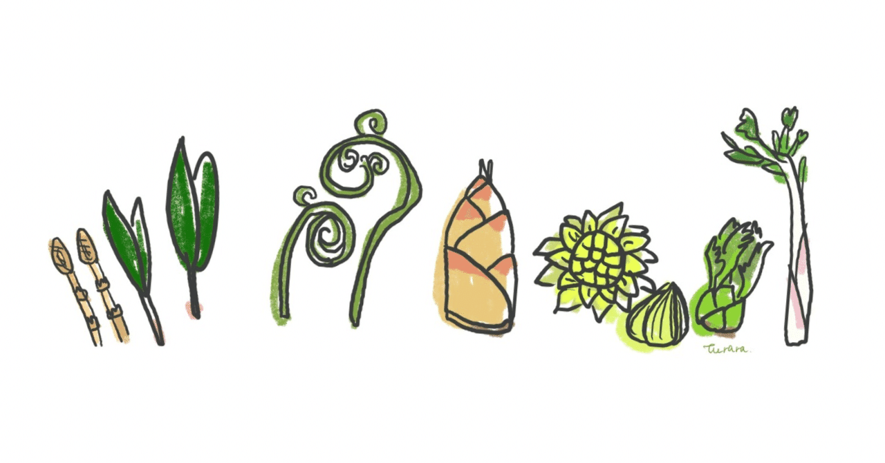 春は味覚の宝庫！タケノコと春の野草天ぷらの魅力完全ガイド｜天然素材とナチュラルな暮らしを追求する40代ママ sachi