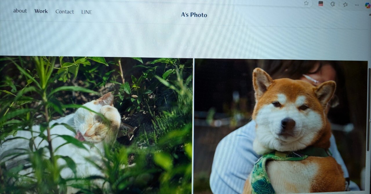 ギャラリーページ更新！｜Akihiko Oosugi