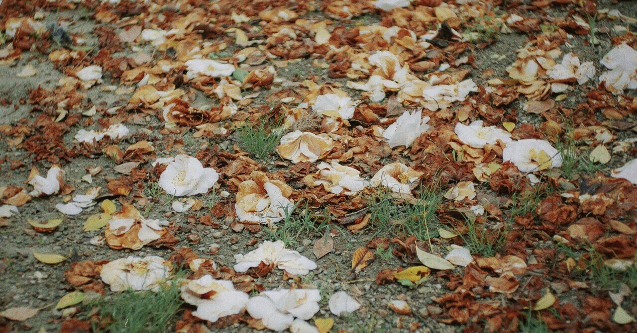 隣り合わせの死神｜hinata