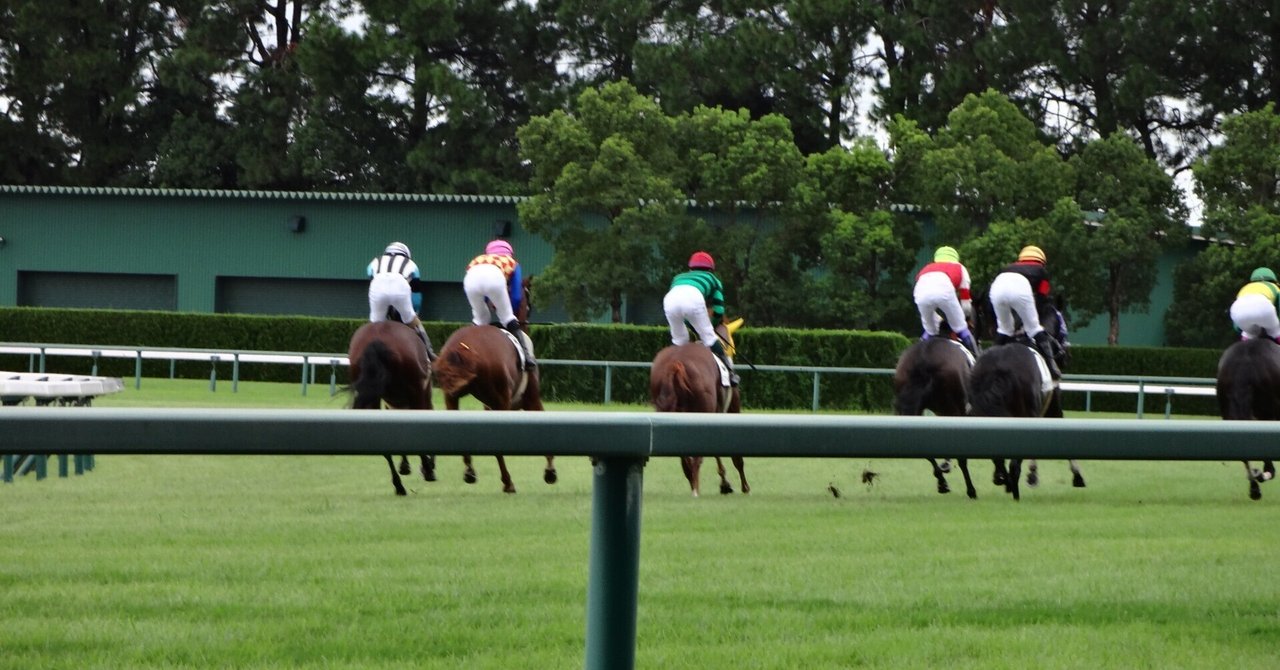 めちゃ早の振り返り、めちゃ早でやったら面白い説 （めちゃ早2025年上半期全G1/Jpn1予想会 中間回顧）｜かっか