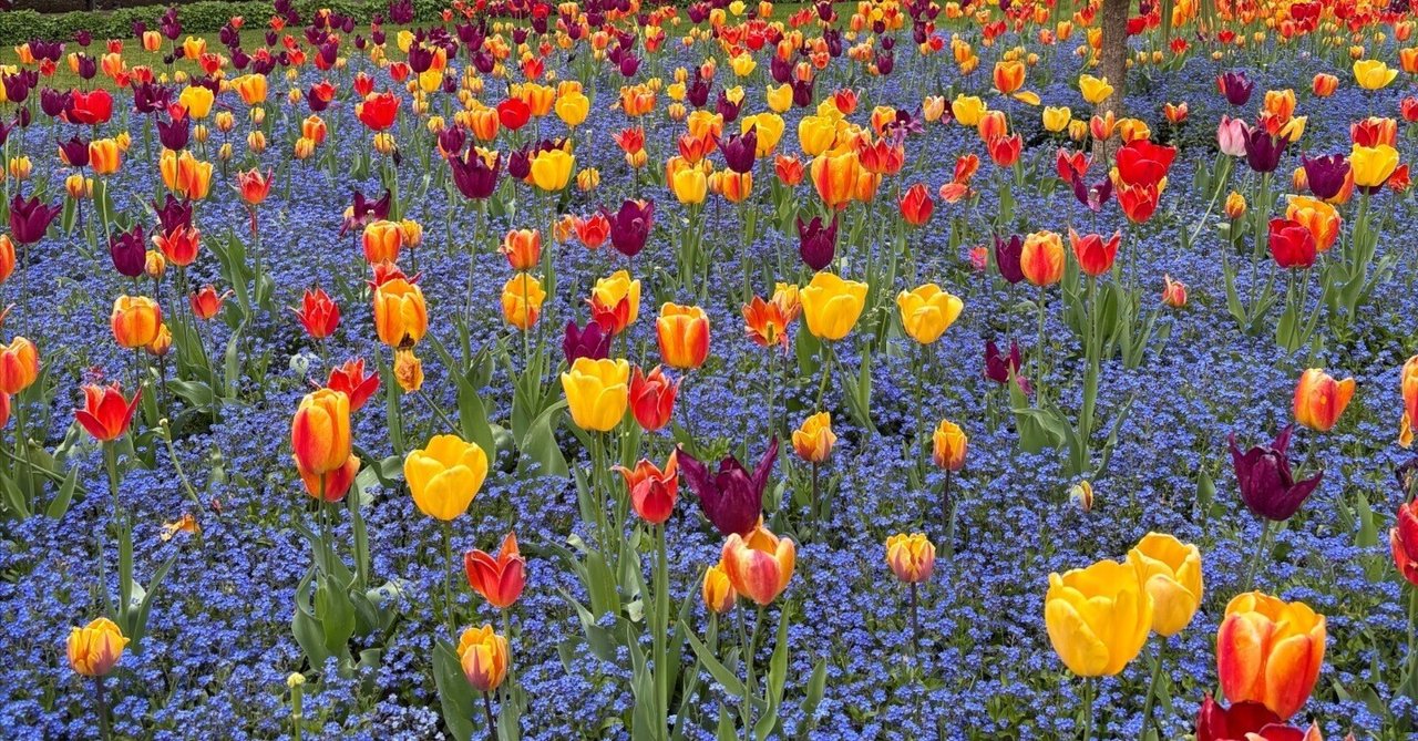 ロンドン2日目｜kanon