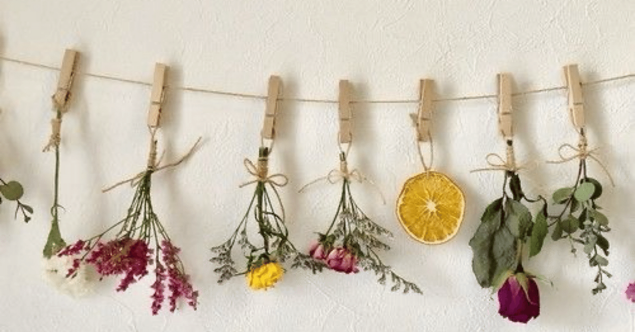 きまぐれ日記｜＊Peco