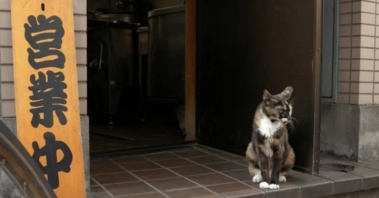 デジタル時代だからこそ私が営業職を選んだ理由｜Calico @ ADHD×FP