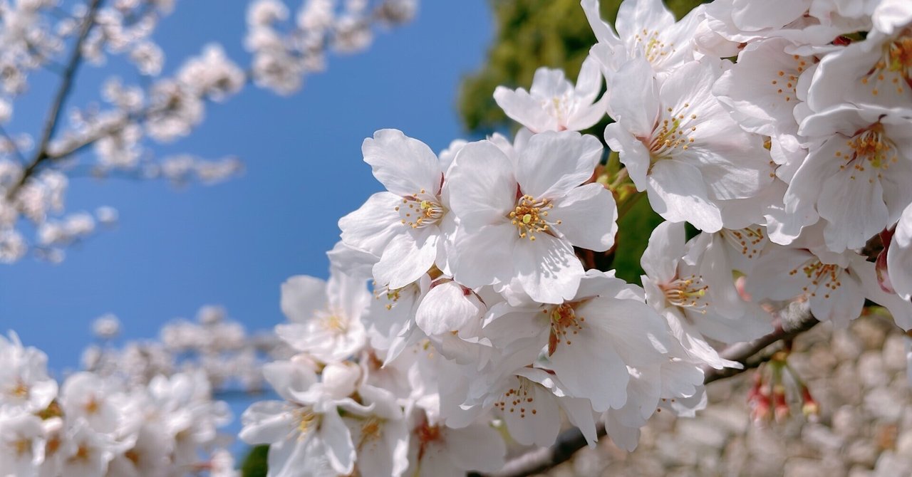 自己紹介（self-introduce）／はじめてのnote｜Ena