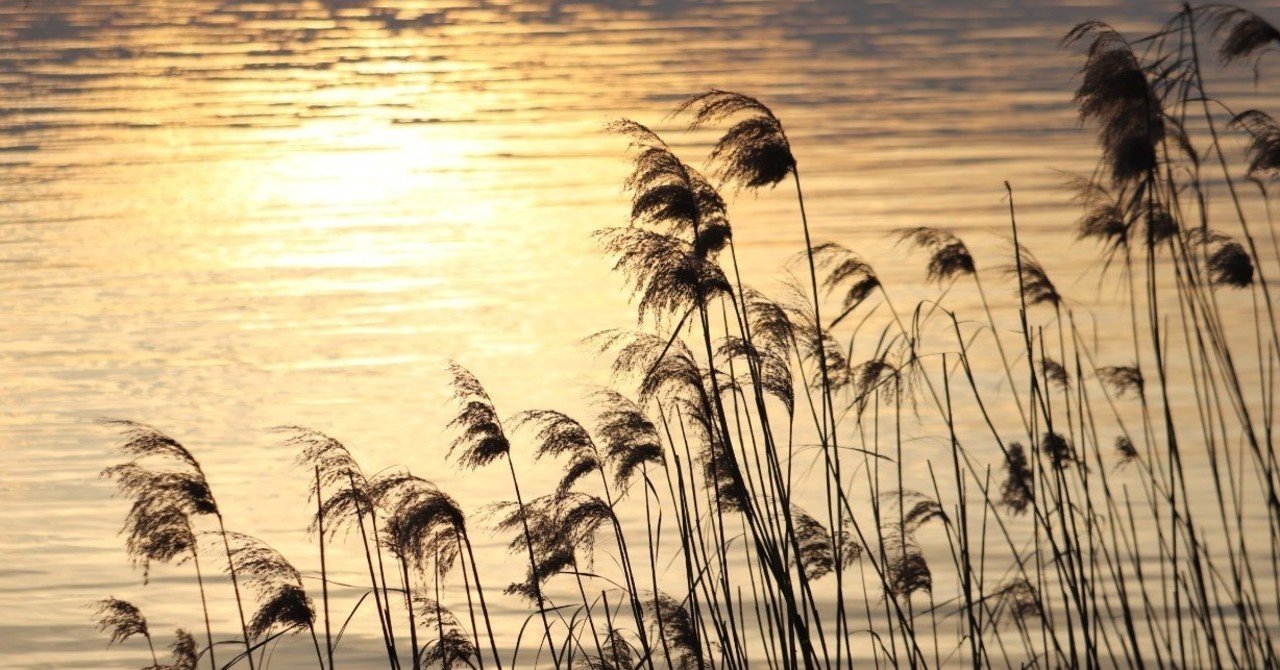 古民家にロボットが来た｜Sosyu Kikuchi｜note