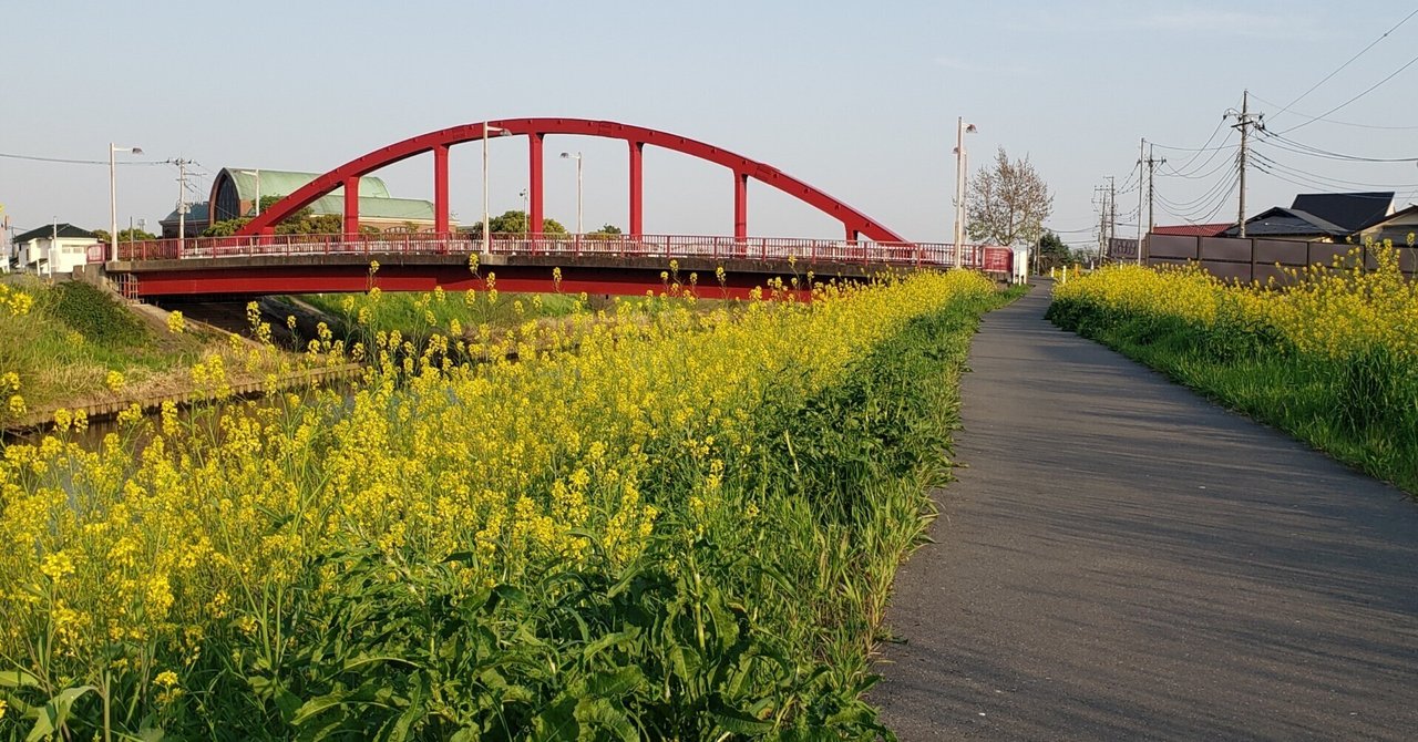 ChatGPTに僕の文章を蓮實重彦の文体で書き直してと指示した｜Akira Someya