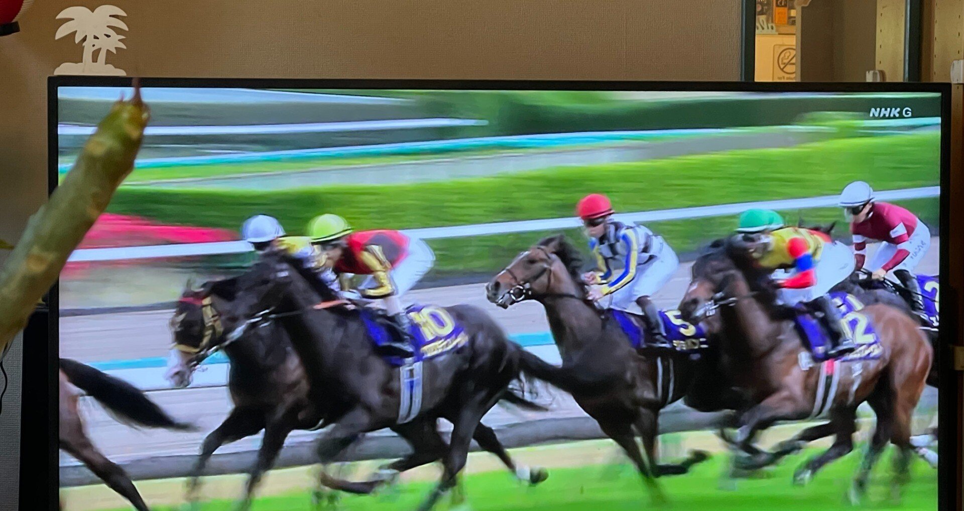 競馬を始めてみる。 - ファインクランツ｜HILO OKADA｜note