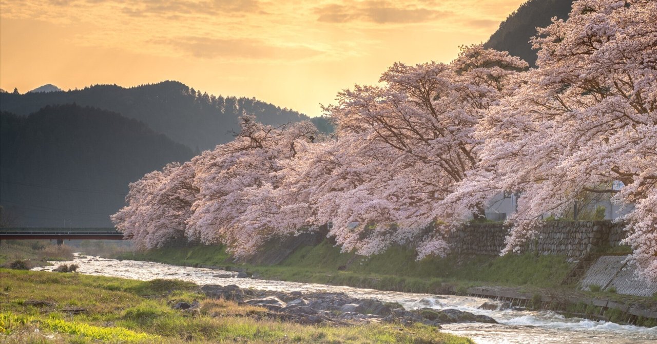 あってよかったライブGND機能 / OM SYSTEM｜もみじ卍ゅう/写真愛好家
