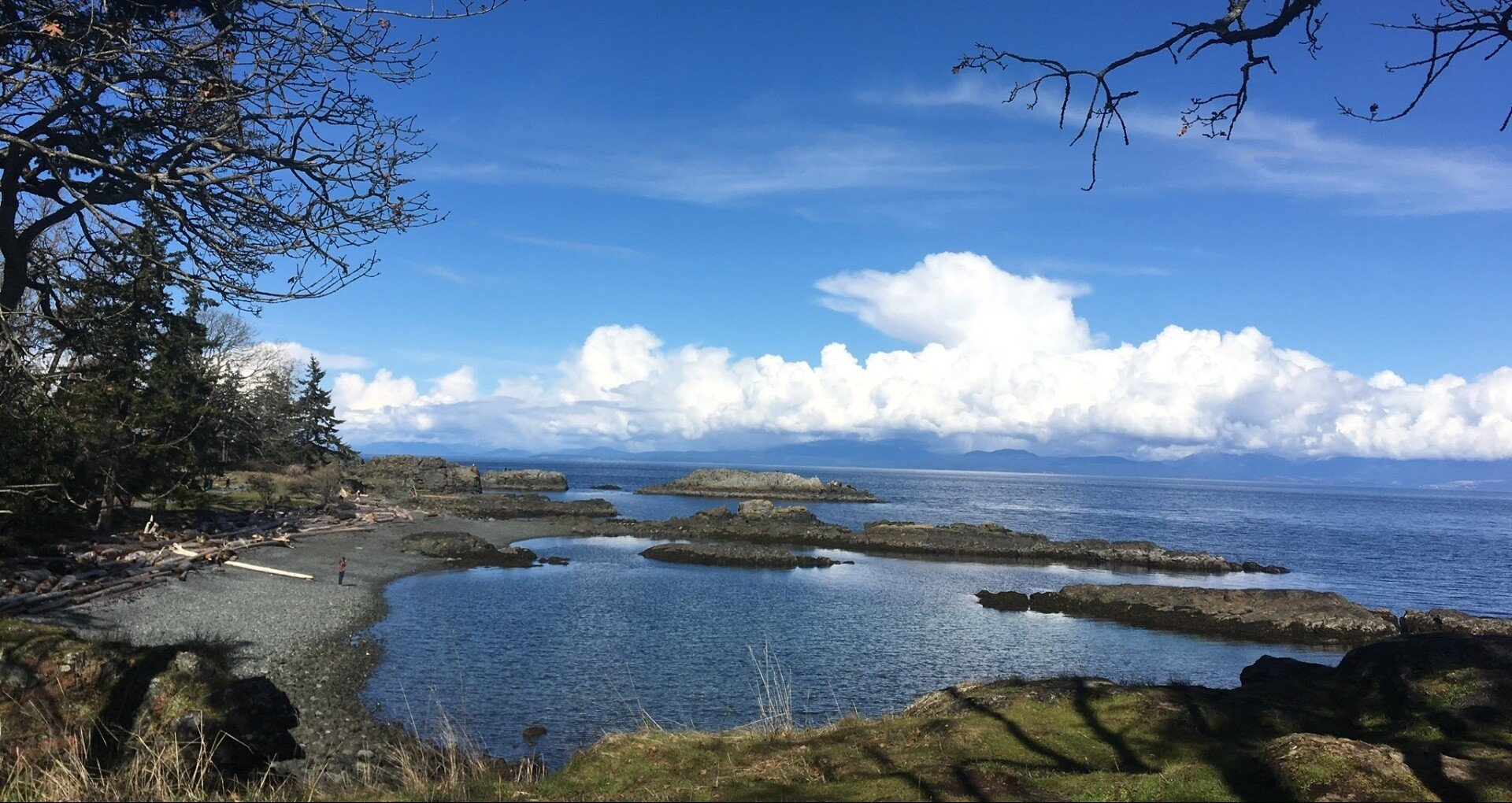 アイランドライフ｜Study Dreams Canada 🇨🇦 Junko｜note