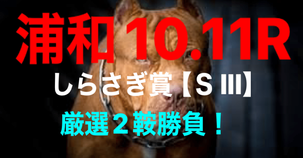 浦和10.11R勝負！しらさぎ賞【SIII】｜パドック師匠【PD master】公式🌐