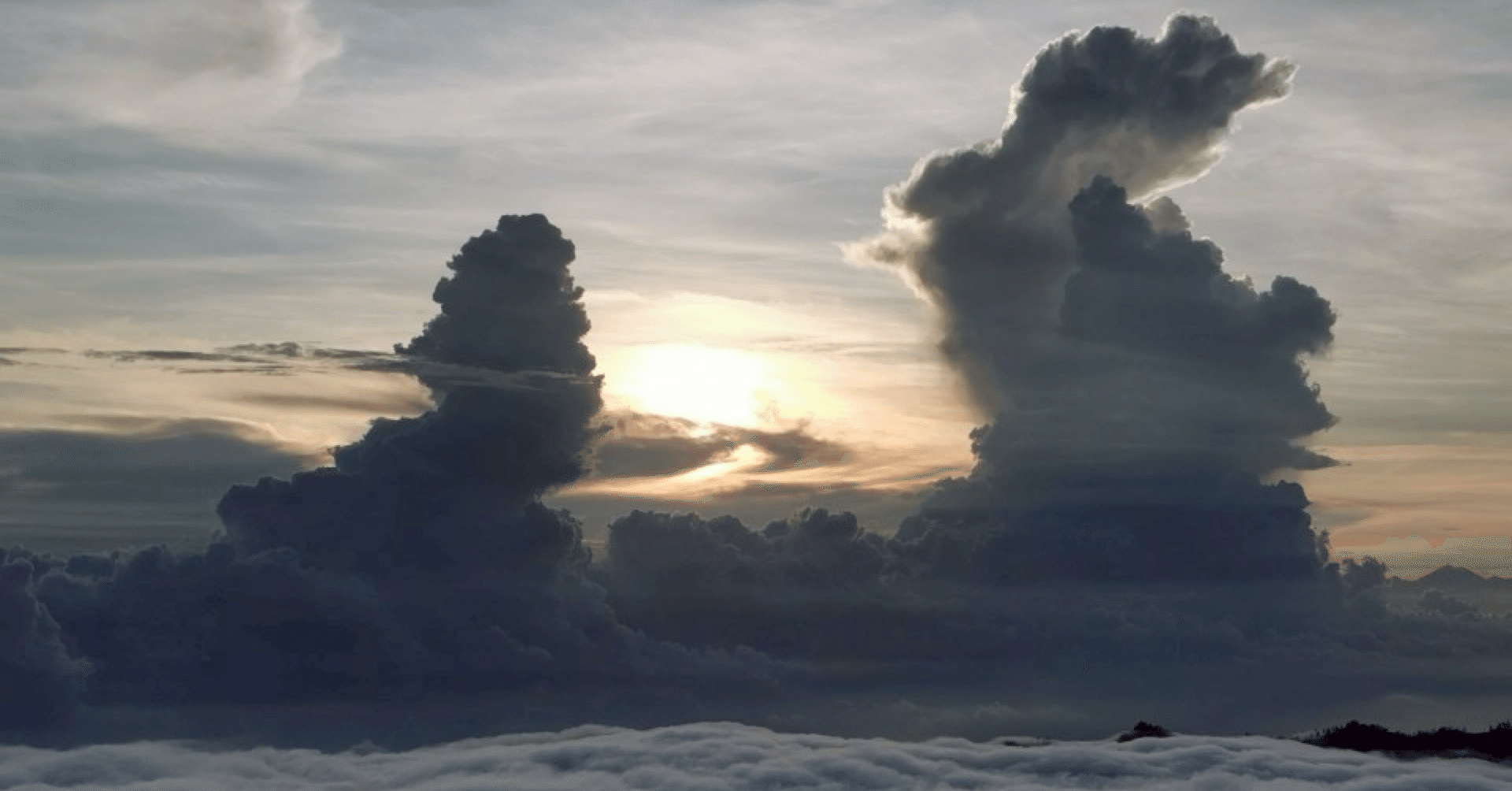 読書メモ｜Ayano｜note