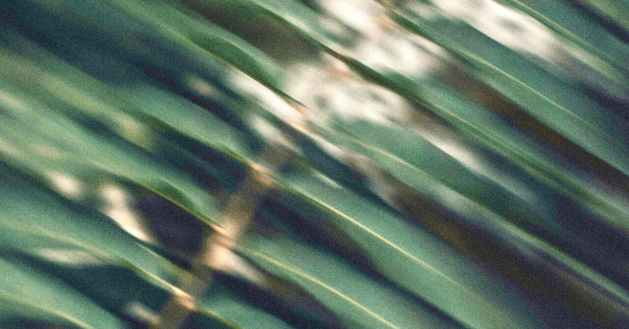 被害妄想という名のジェットコースター｜Hiroko Aoki