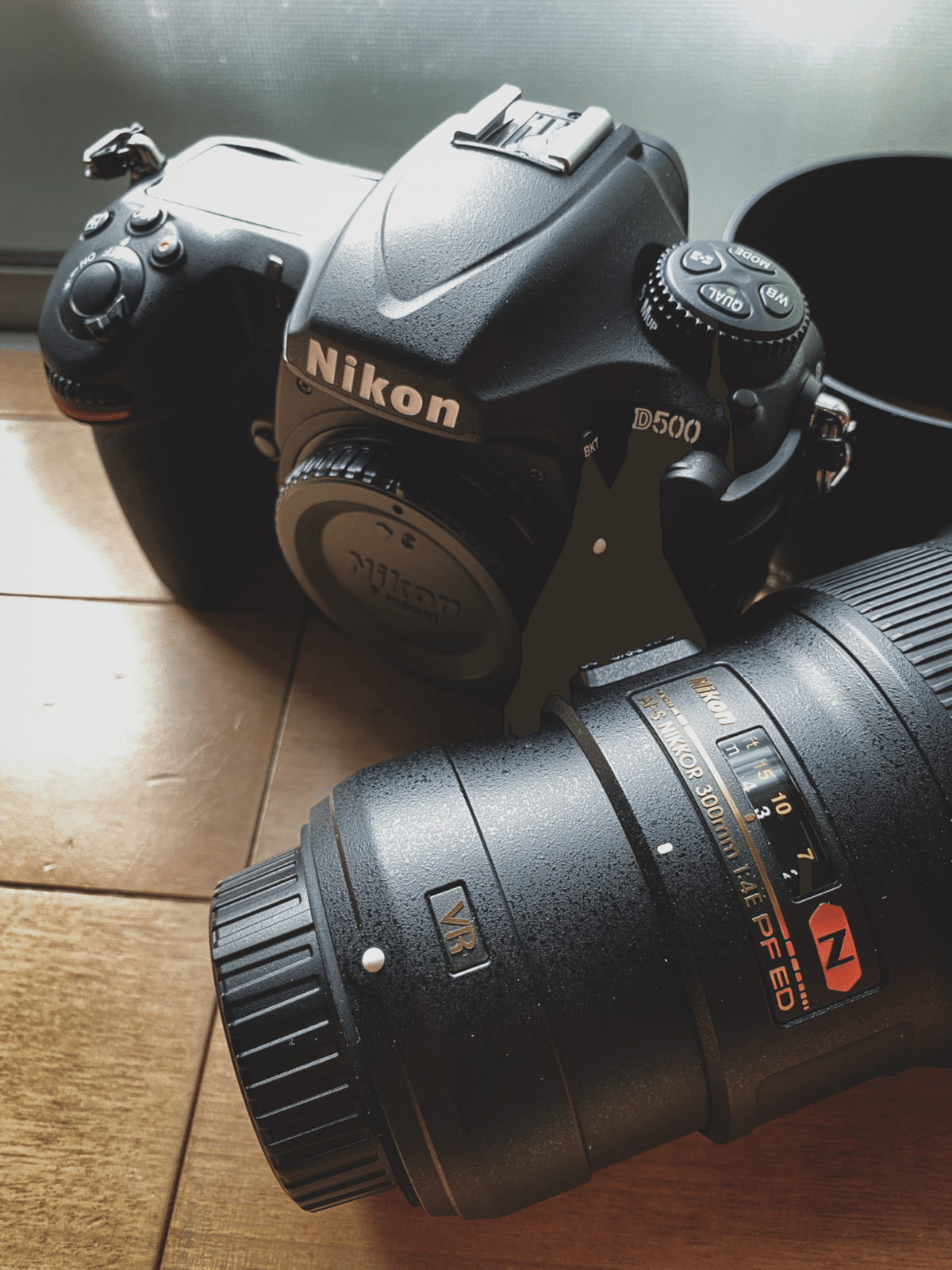 NIKON Z5Ⅱ発売！ニコンの勝ち筋が見えるまで｜Alice_photolog