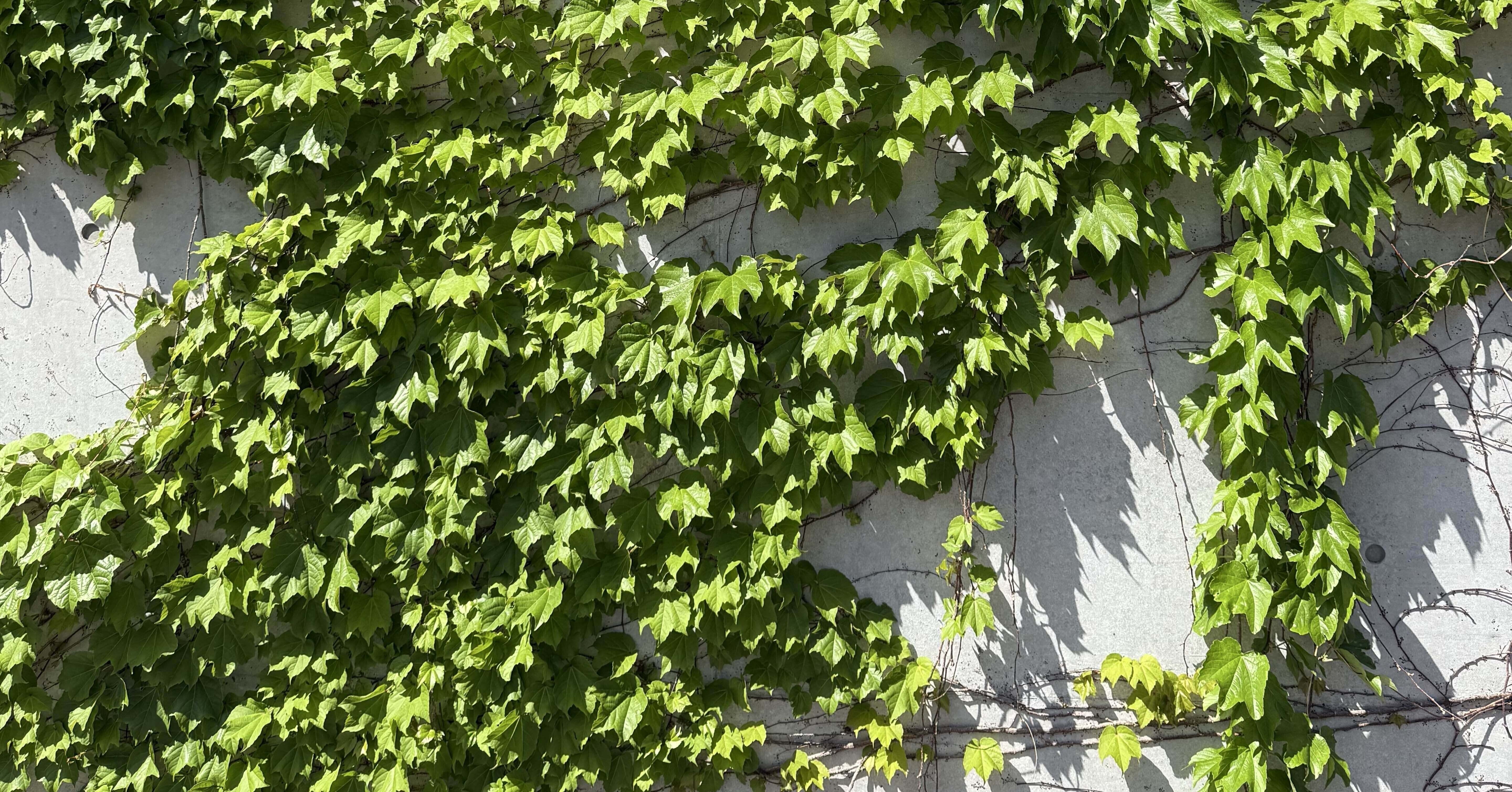 Daichi 〜キャリア形成の経験談〜｜note