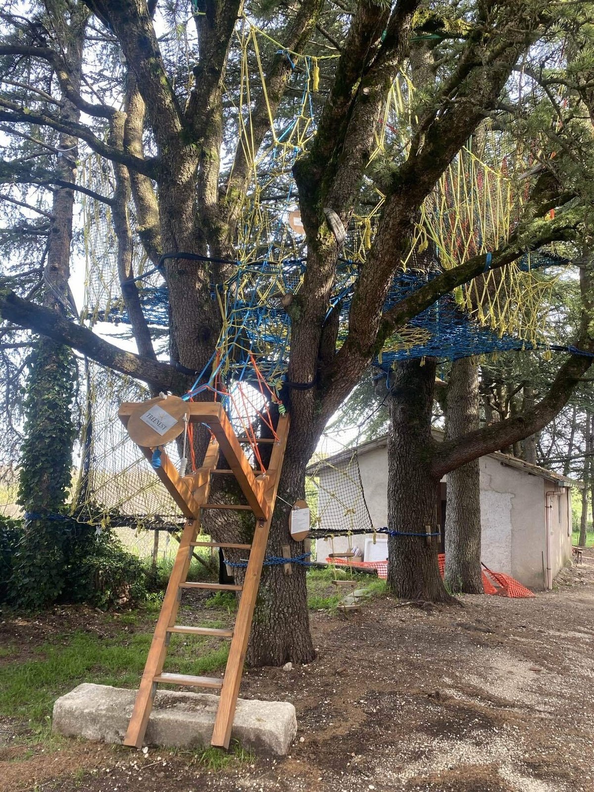 Azienda Agricola Tularù と近況｜城 拓 / Hiroshi Jo