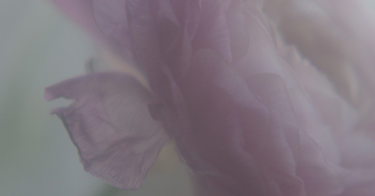 感じる、感覚・。・。・｜Cosmic Suzu｜note