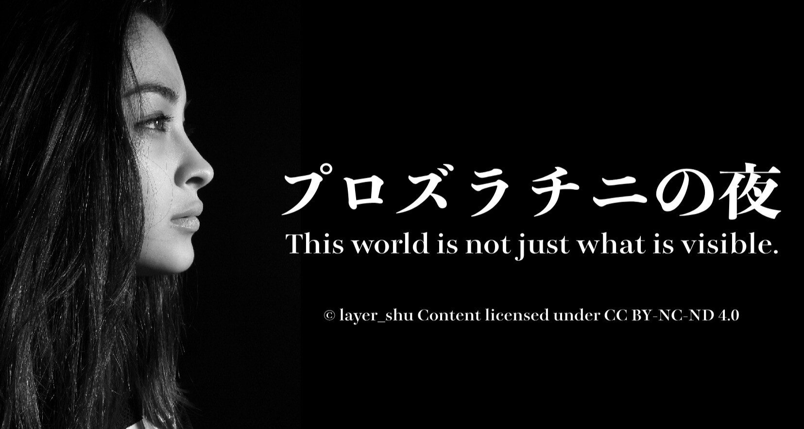 プロズラチニの夜｜shu**｜note