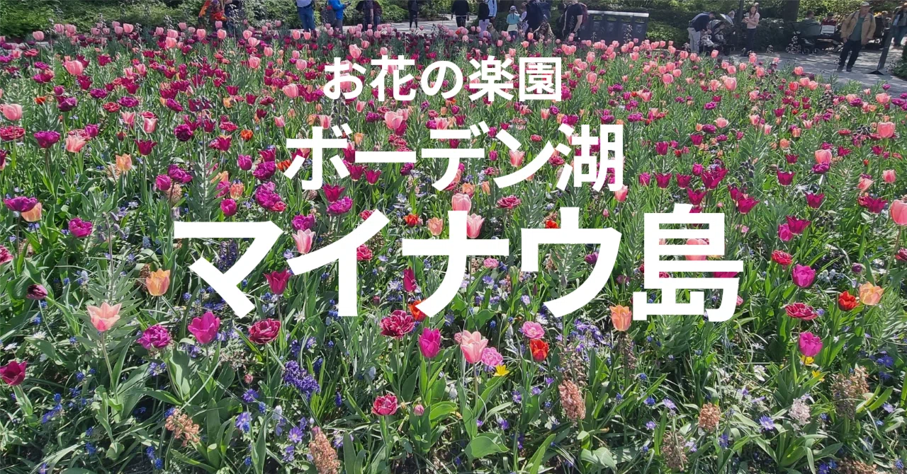 【番外編】歴史と理想が育んだ花の島—マイナウ島の魅力（Insel Mainau ドイツ）｜zakky