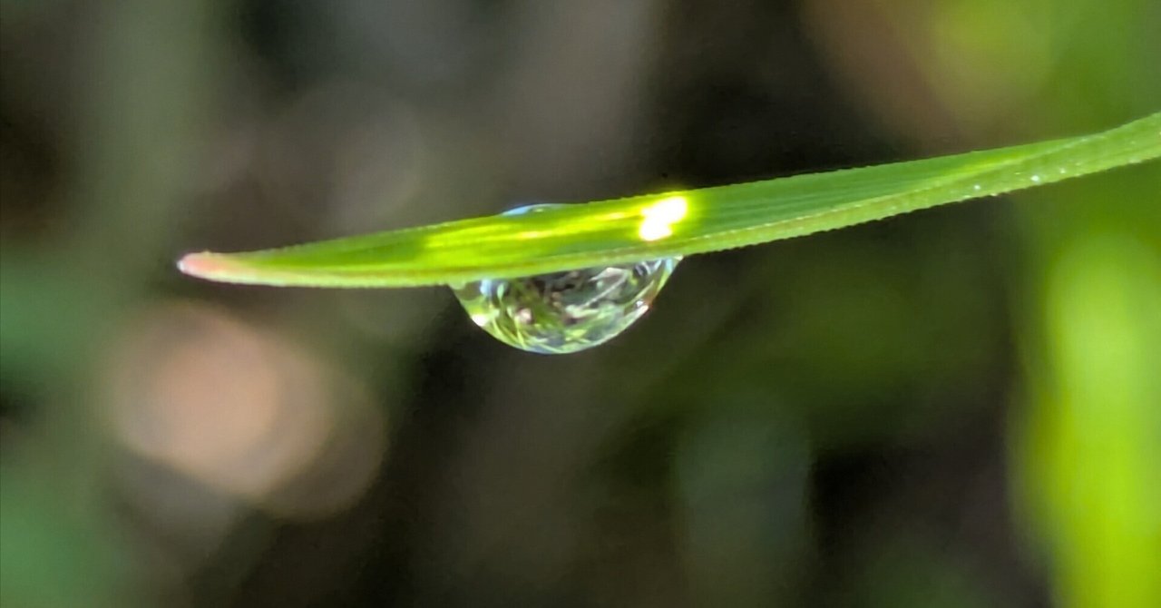 水滴美術館〜キラリ｜ichiro70