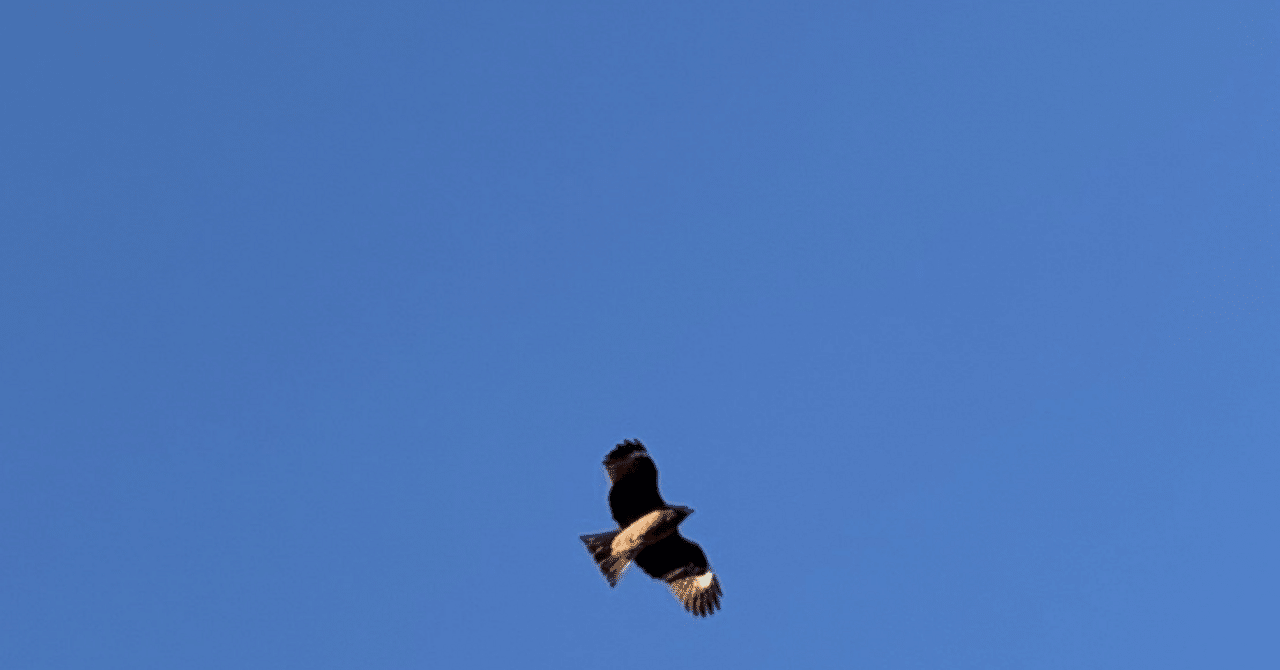 小説＃024【あの日の青い空】｜T.Koji