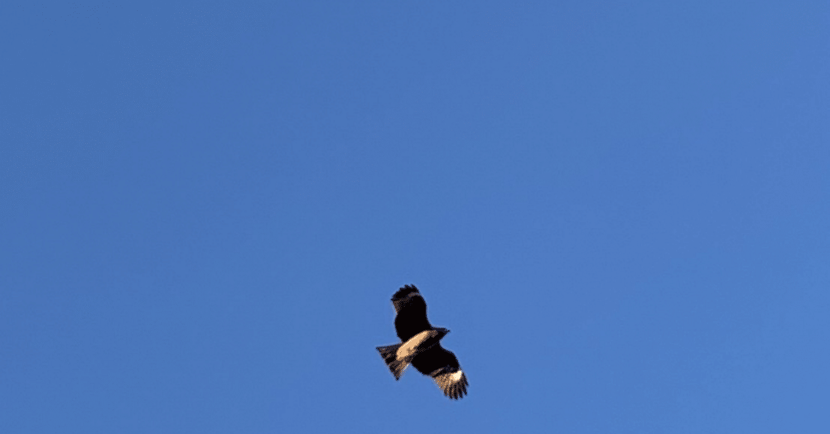 小説＃024【あの日の青い空】｜T.Koji