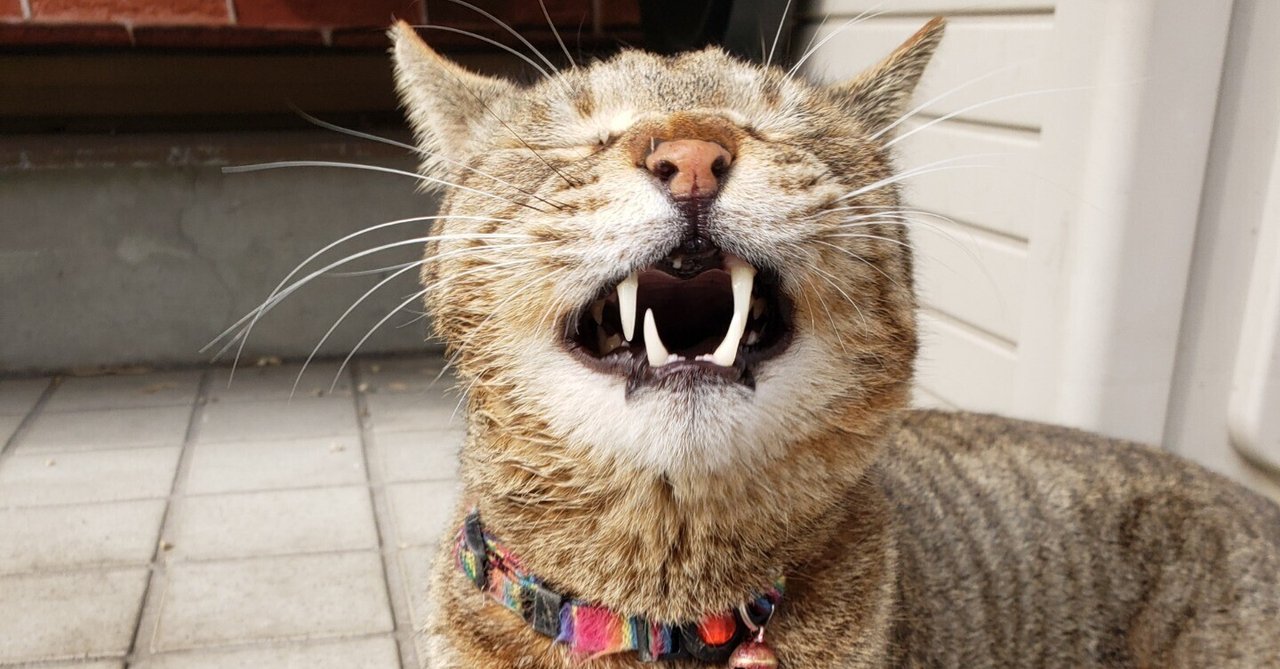 ChatGPTに『ライ麦畑でつかまえて』（野崎孝訳）風にリライトしてもらった｜Akira Someya