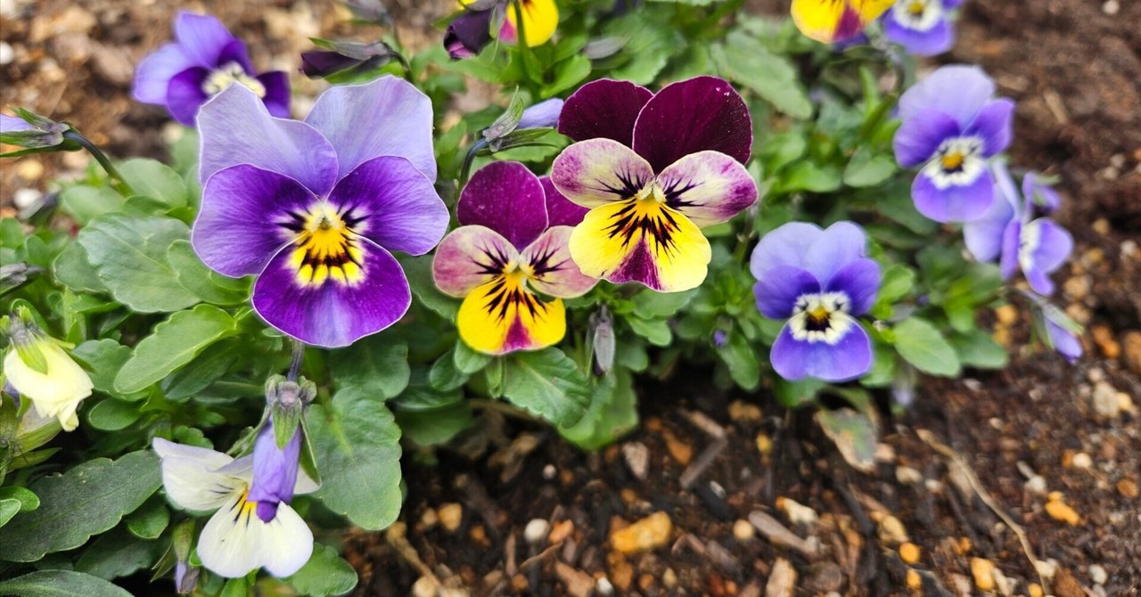 春が来た～北の国から～｜mariko_seasons