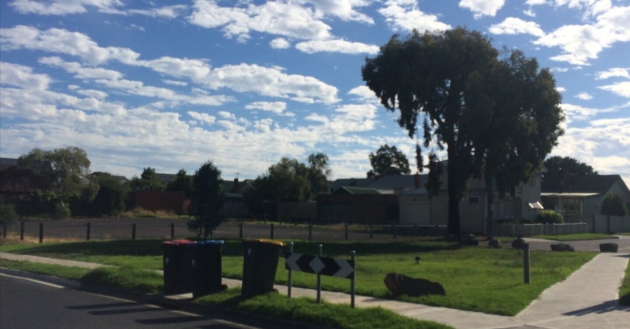 4ヶ国語学習｜はじめてのnote｜MIZUKI🌳🐨