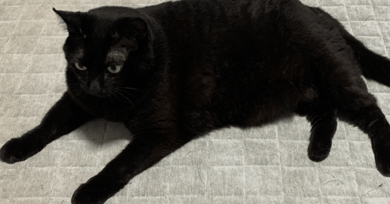 最強のイタ飯チェーン「オリーブの丘」｜unitason