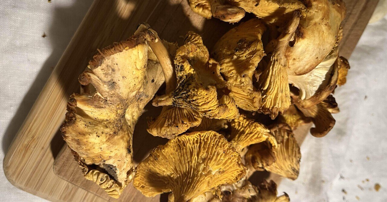 日本にいても⦅おふらんす⦆ ⑦|ジロールダケ🍄‍🟫｜silfy