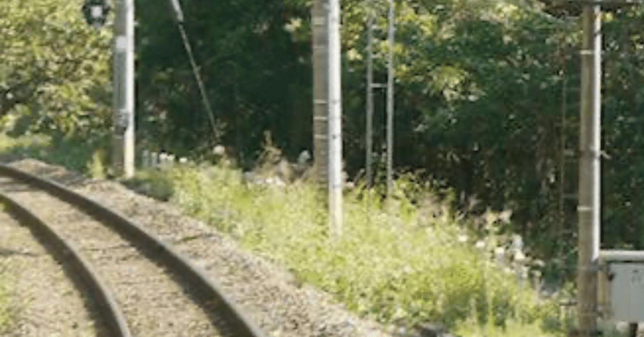 アラフィフ再就職までの道のり2025,2,19｜gaku-gaku