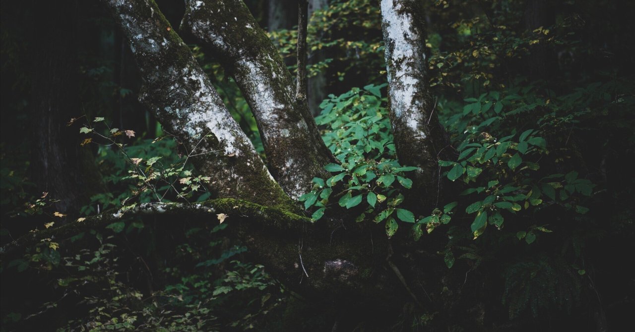 絶滅危惧種｜KOTARO ANZAI