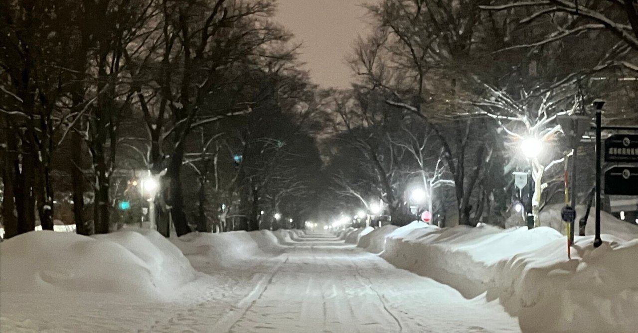 北大での二年を振り返る｜jinnsei