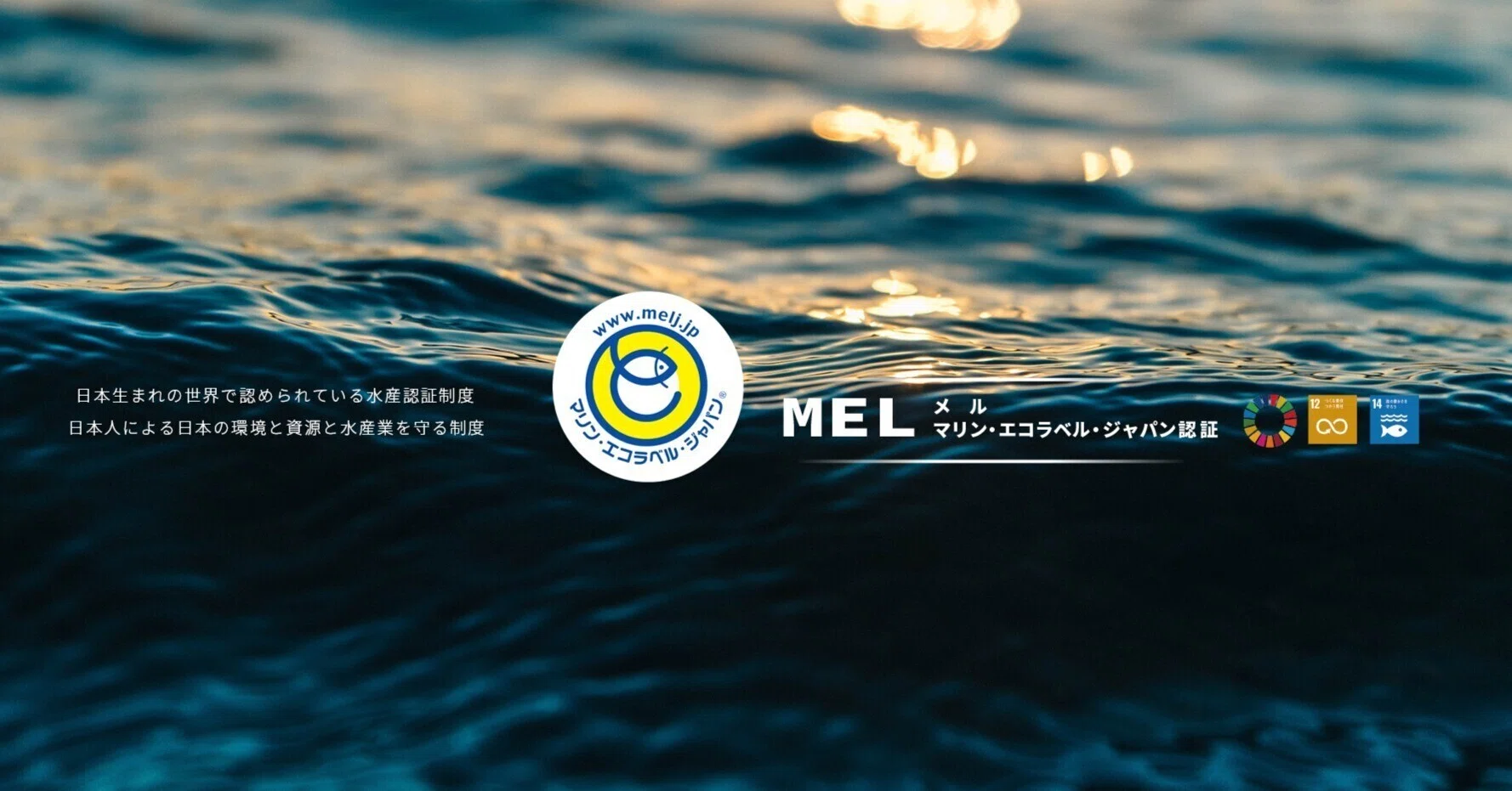 【公式】MEL｜note