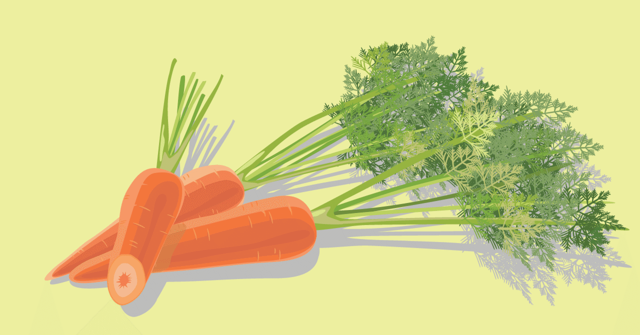 [簡単]リクエスト篇・にんじんしりしり #shorts｜amiami_@Japan