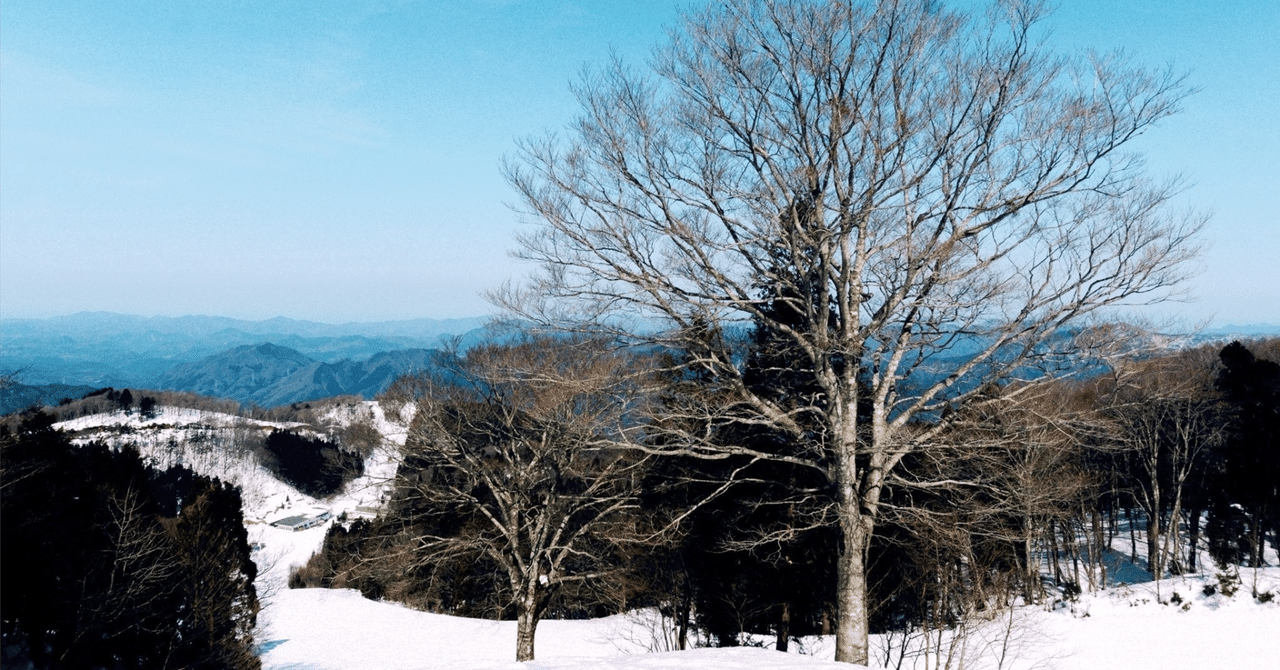 aespaのウィンターがW KOREAで紹介していた香水とかハンドクリームとか｜yns