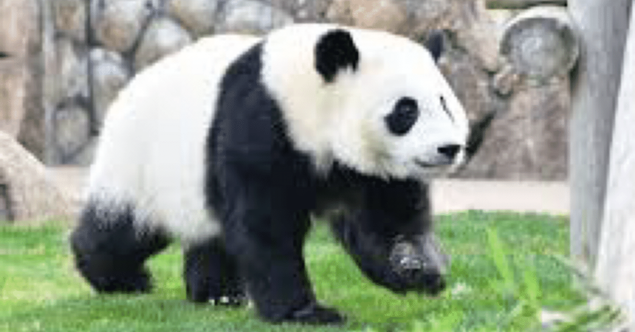 しゃんしゃん｜Kanon.