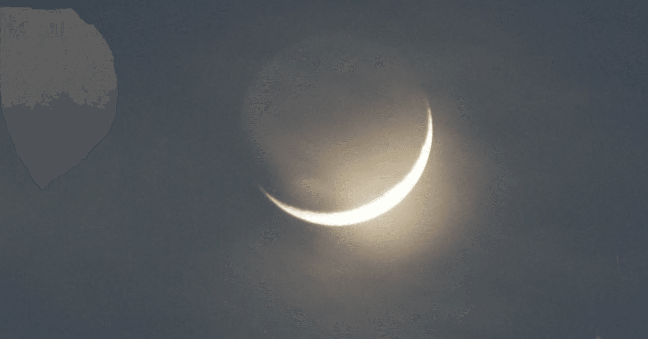 crescent moon｜ヨモギ