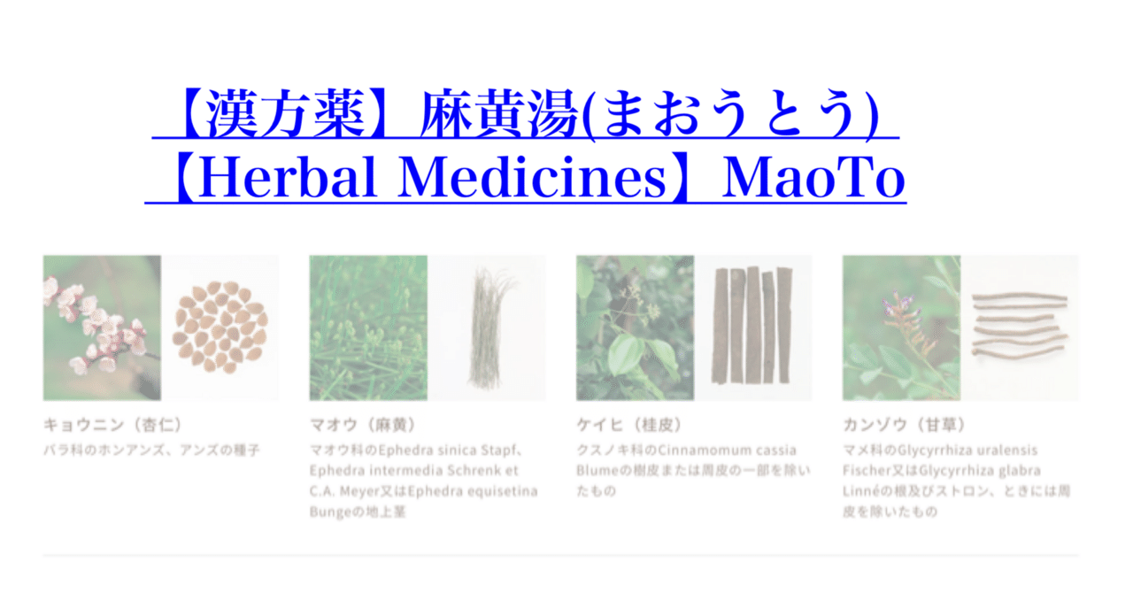 【漢方薬】麻黄湯(まおうとう) 【Herbal Medicines】MaoTo｜200im